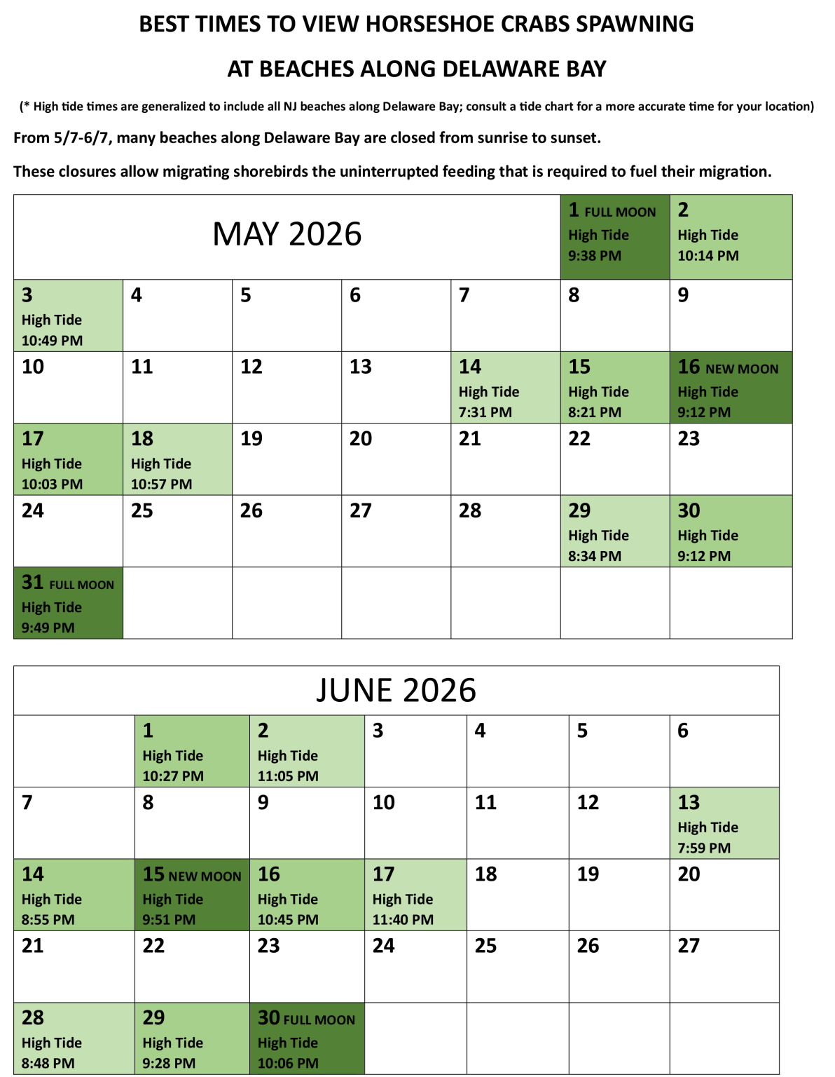 See For Yourself – Delaware Bay Shorebird Project